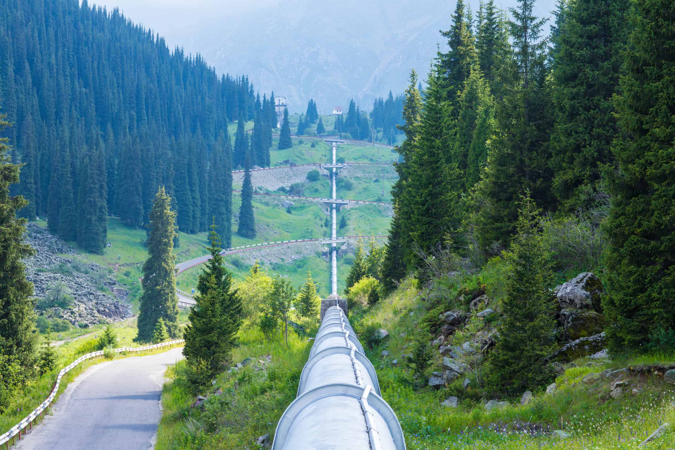 Renewable Natural Gas Taskforce - SGA Natural Gas Association